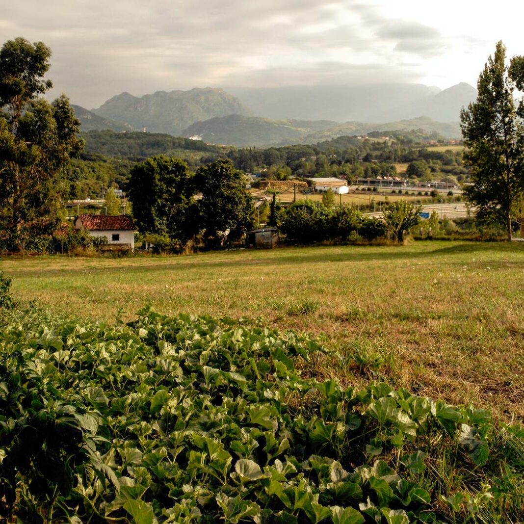 Leyendas sobre el origen de los astures en las crónicas del siglo XVI